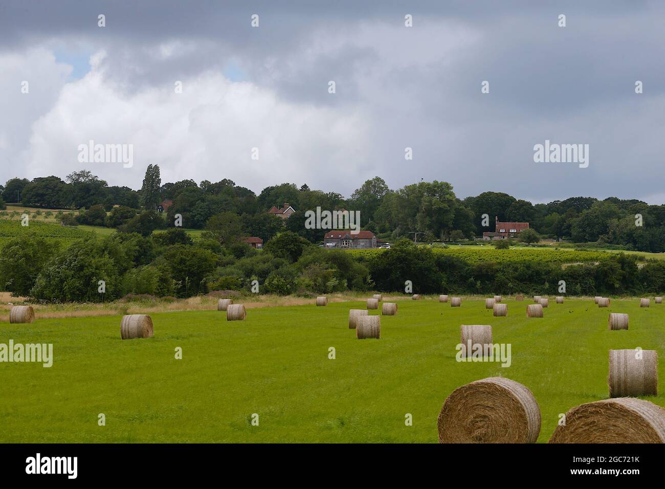 Kent and east sussex border hi-res stock photography and images - Alamy