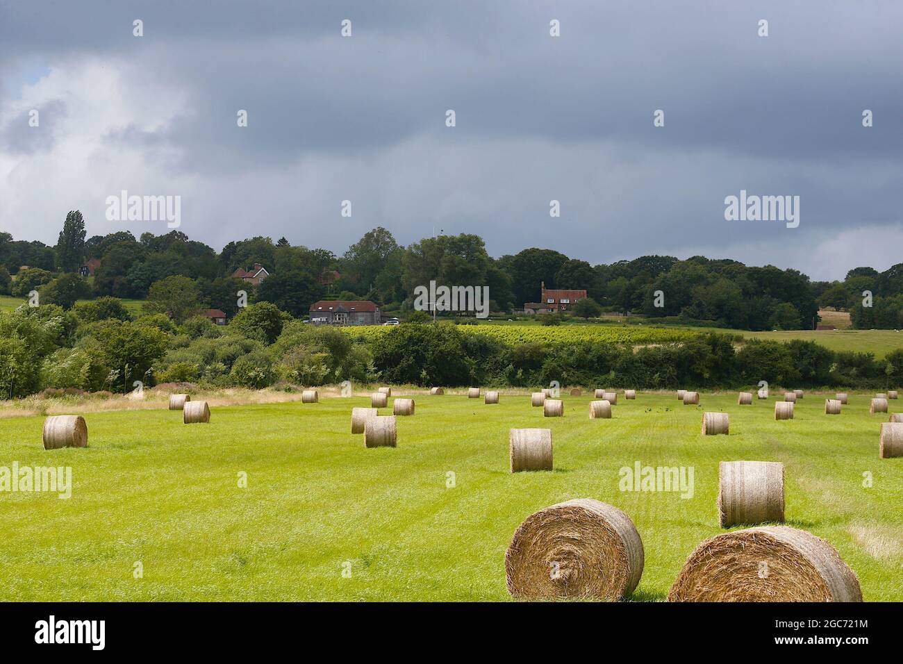 Kent and east sussex border hi-res stock photography and images - Alamy