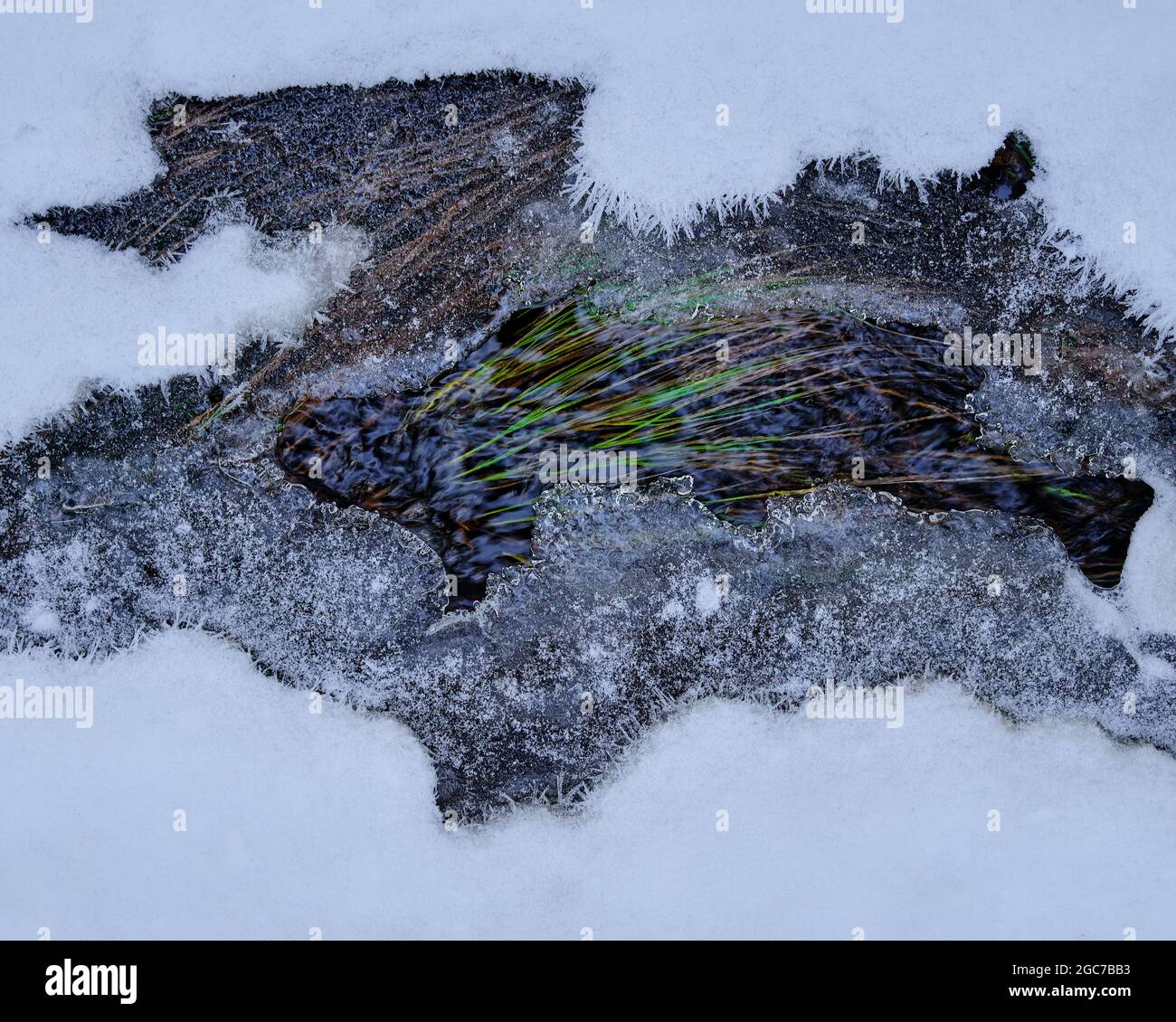 Stream under hi-res stock photography and images - Alamy