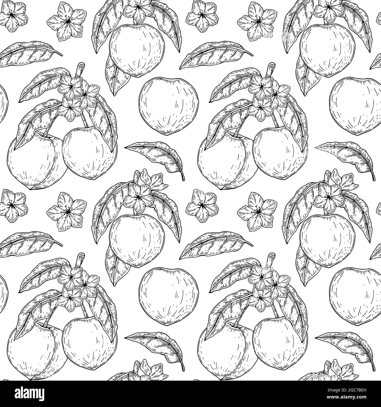 Hand drawn peach seamless pattern. Vector illustration Stock Vector ...