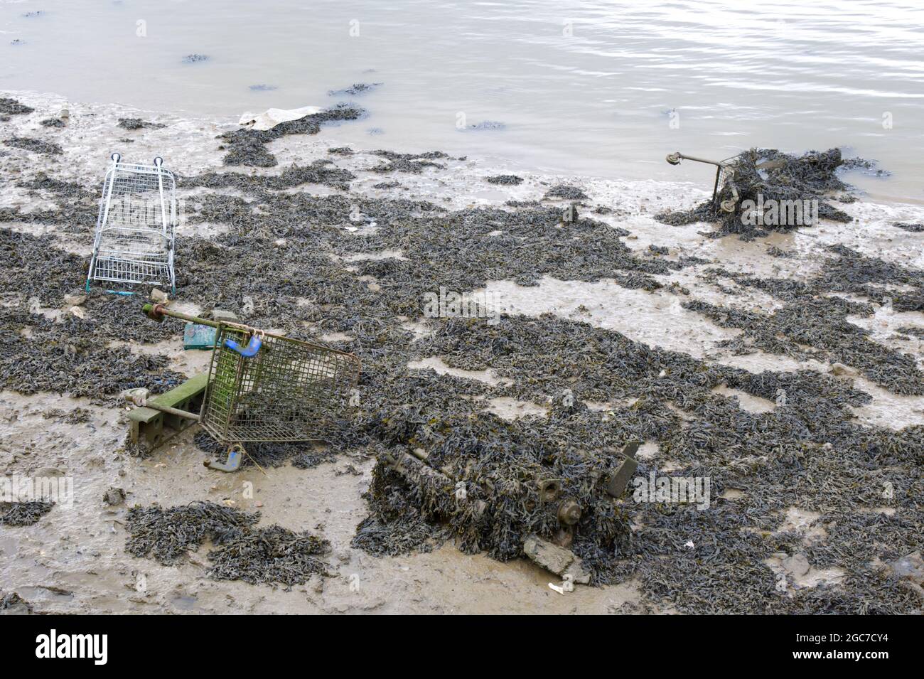 Trollies in river hi-res stock photography and images - Alamy