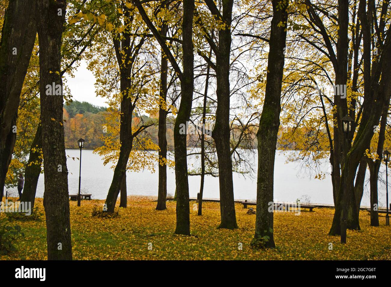 And fall trees and leaves in a famous park in the city center of ...
