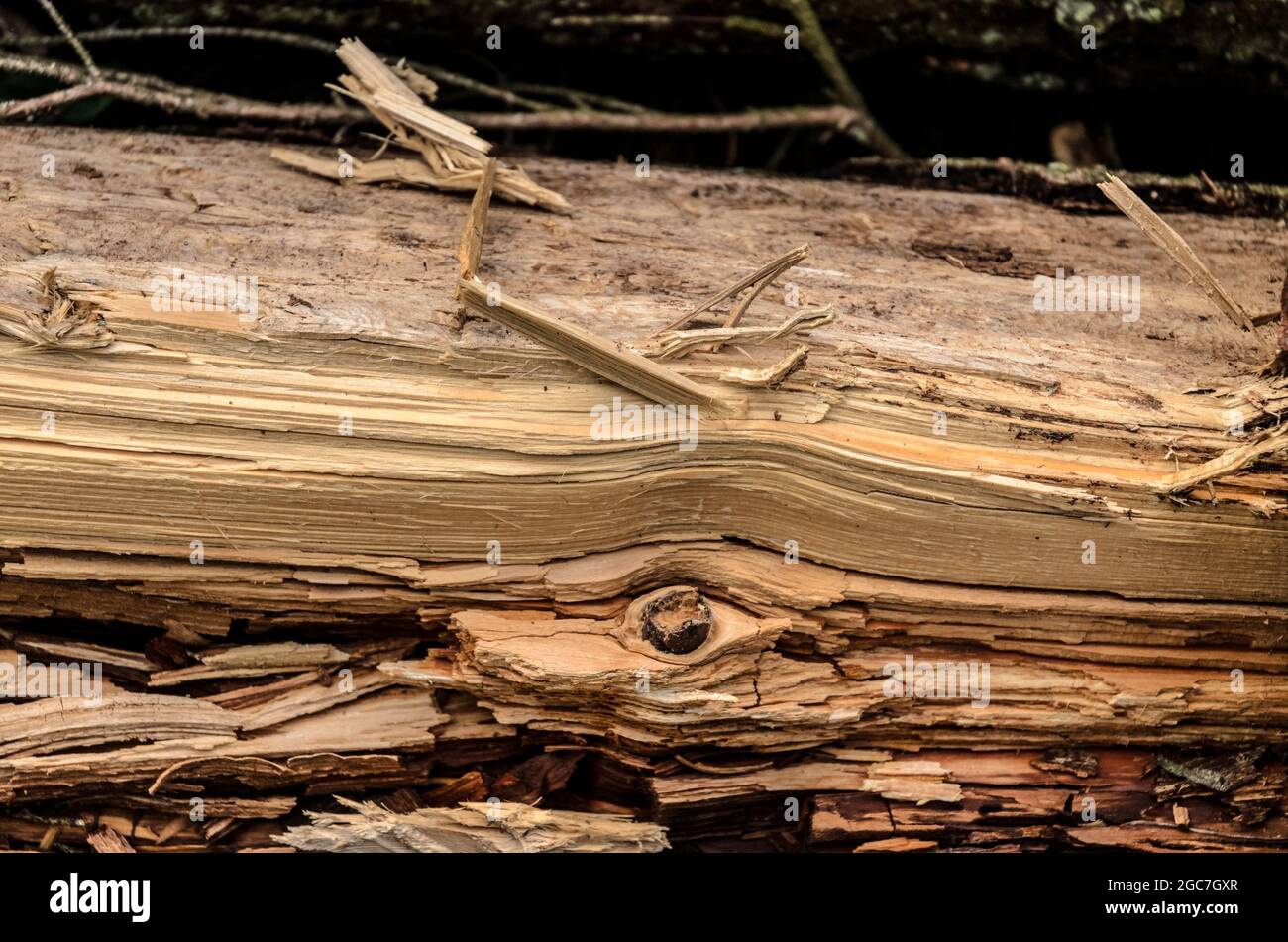 Grain texture hi-res stock photography and images - Alamy