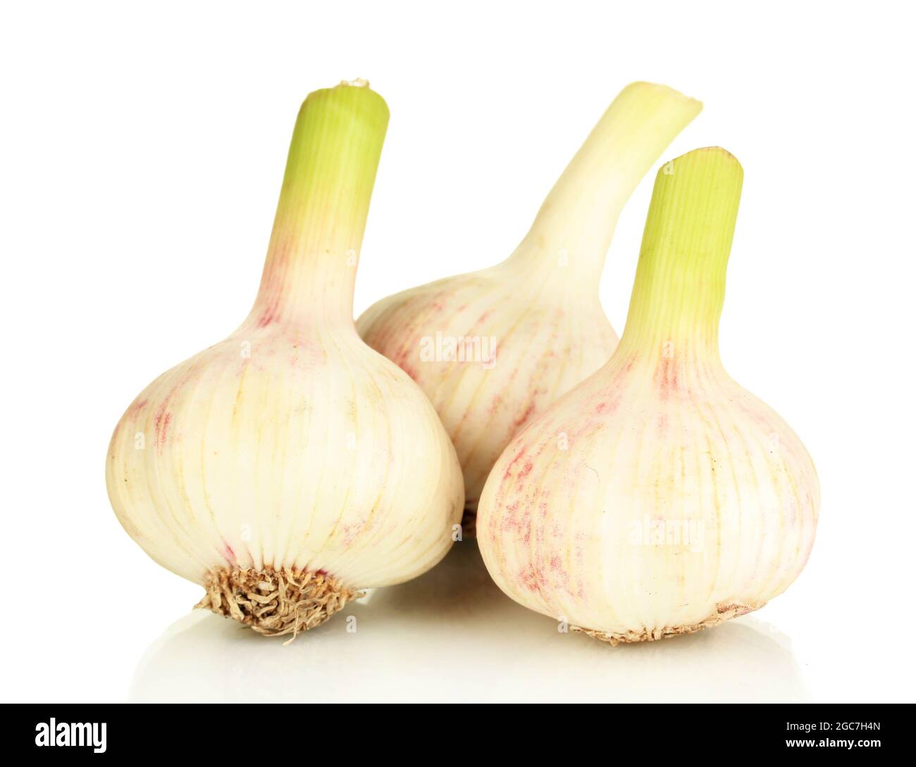 Garlic isolated on white Stock Photo - Alamy