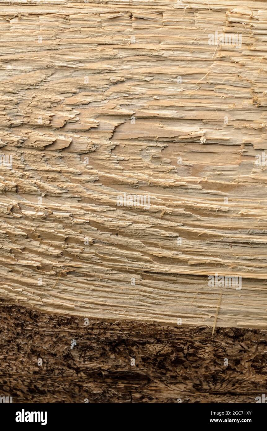 Grain texture hi-res stock photography and images - Alamy