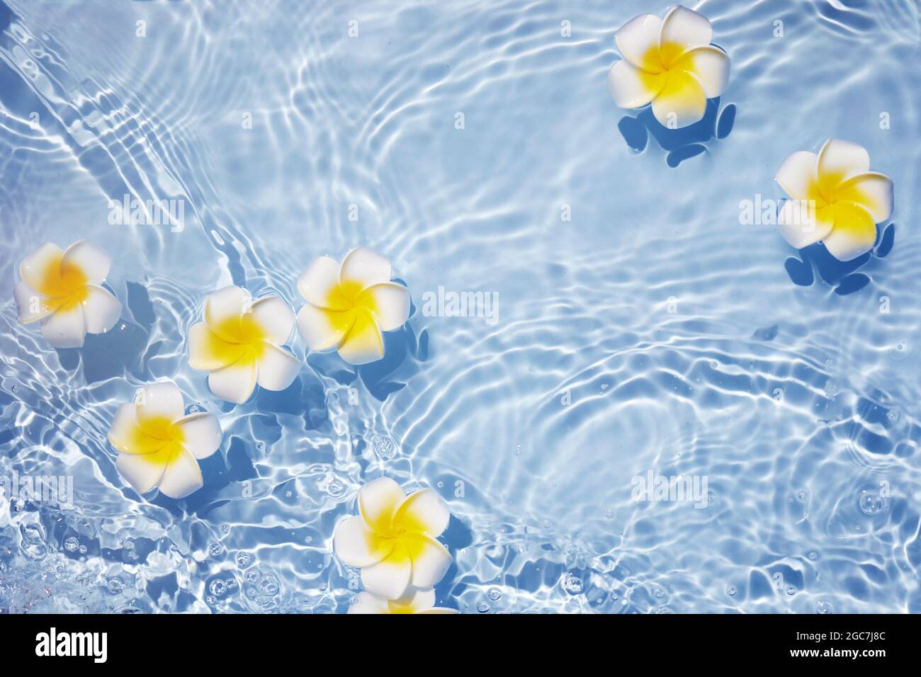 Fiji flower hi-res stock photography and images - Alamy