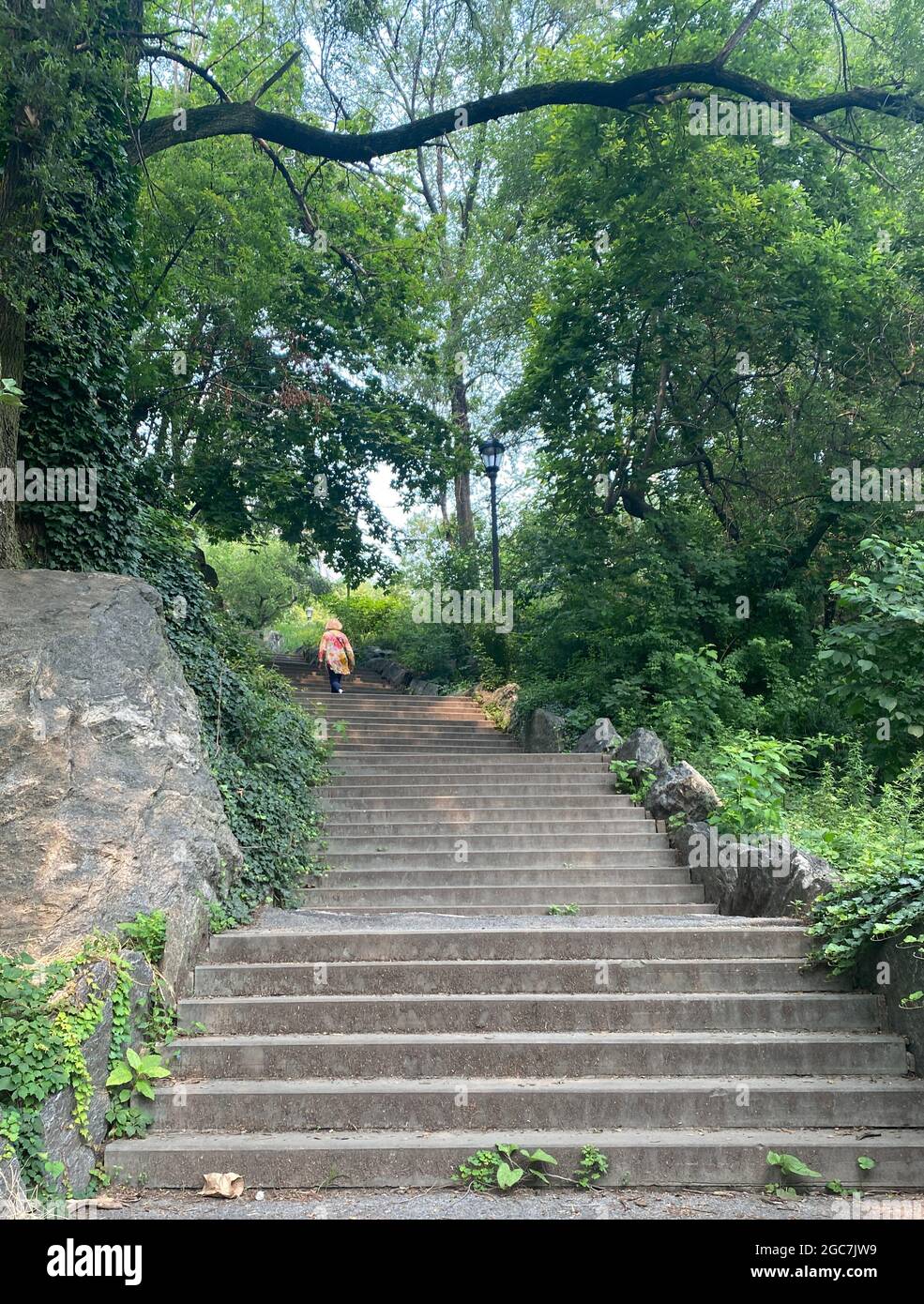 One of the stairways in Morningside Park that rises up to Morningside ...