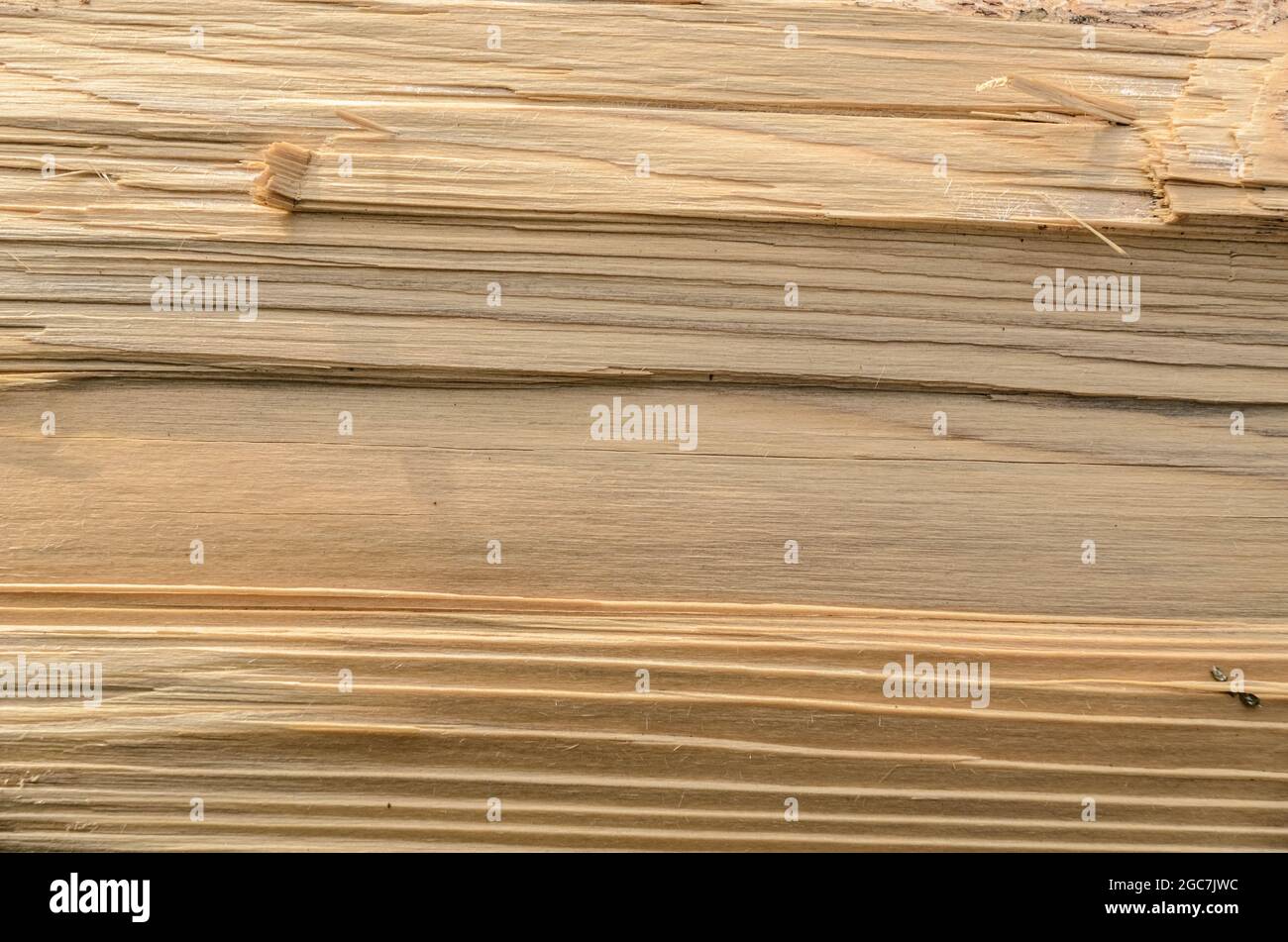 Wood grain texture, pattern and structure of a tree trunk, natural ...