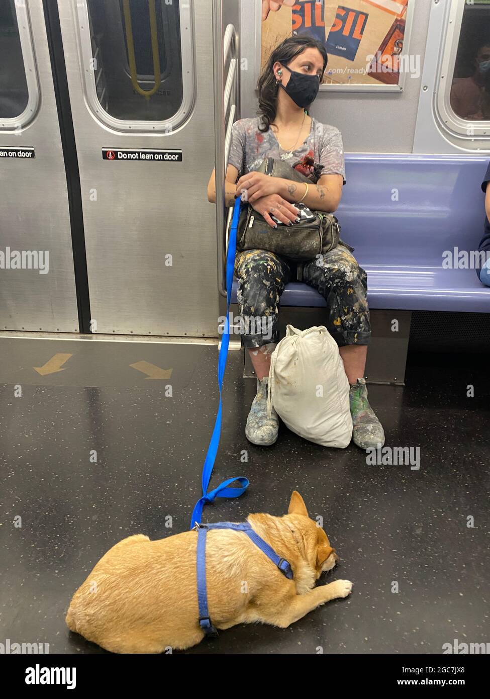 Woman with her dog rides a New York City subway train on the East Side ...