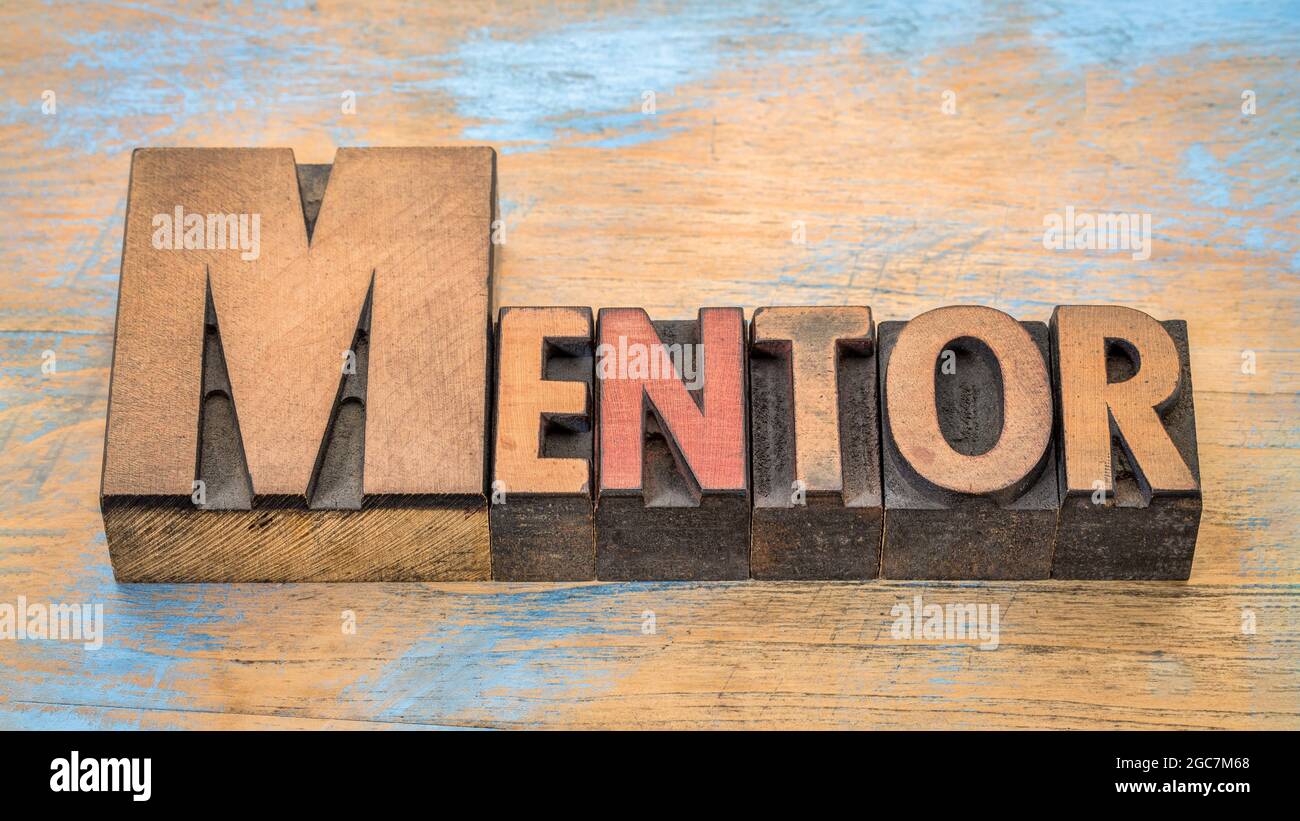 mentor word in vintage letterpress wood type printing blocks stained by ...