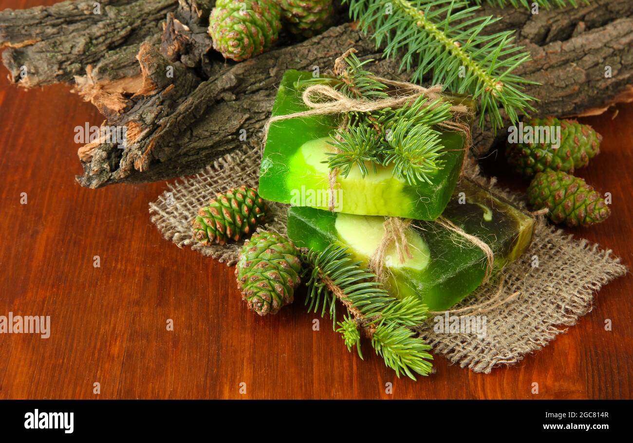 Soap Bark Tree High Resolution Stock Photography and Images - Alamy
