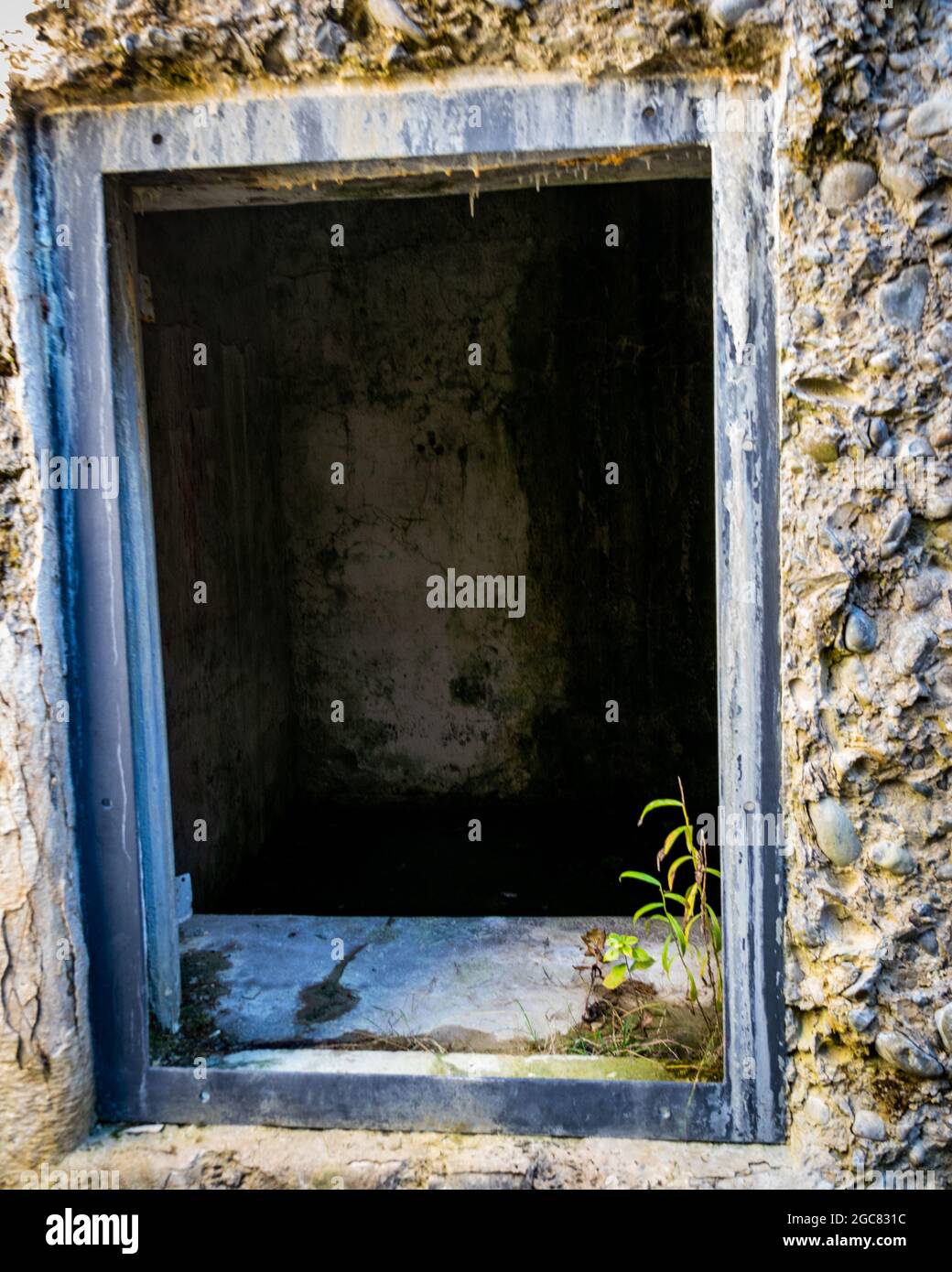wooden window frame to an abandoned bunker in fort mcnabs on mcnabs ...