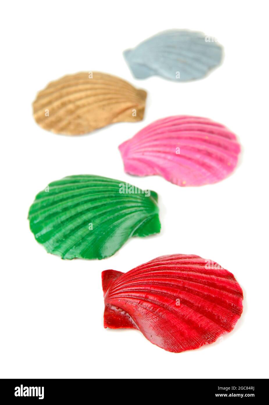 Colorful seashells, isolated on white Stock Photo - Alamy