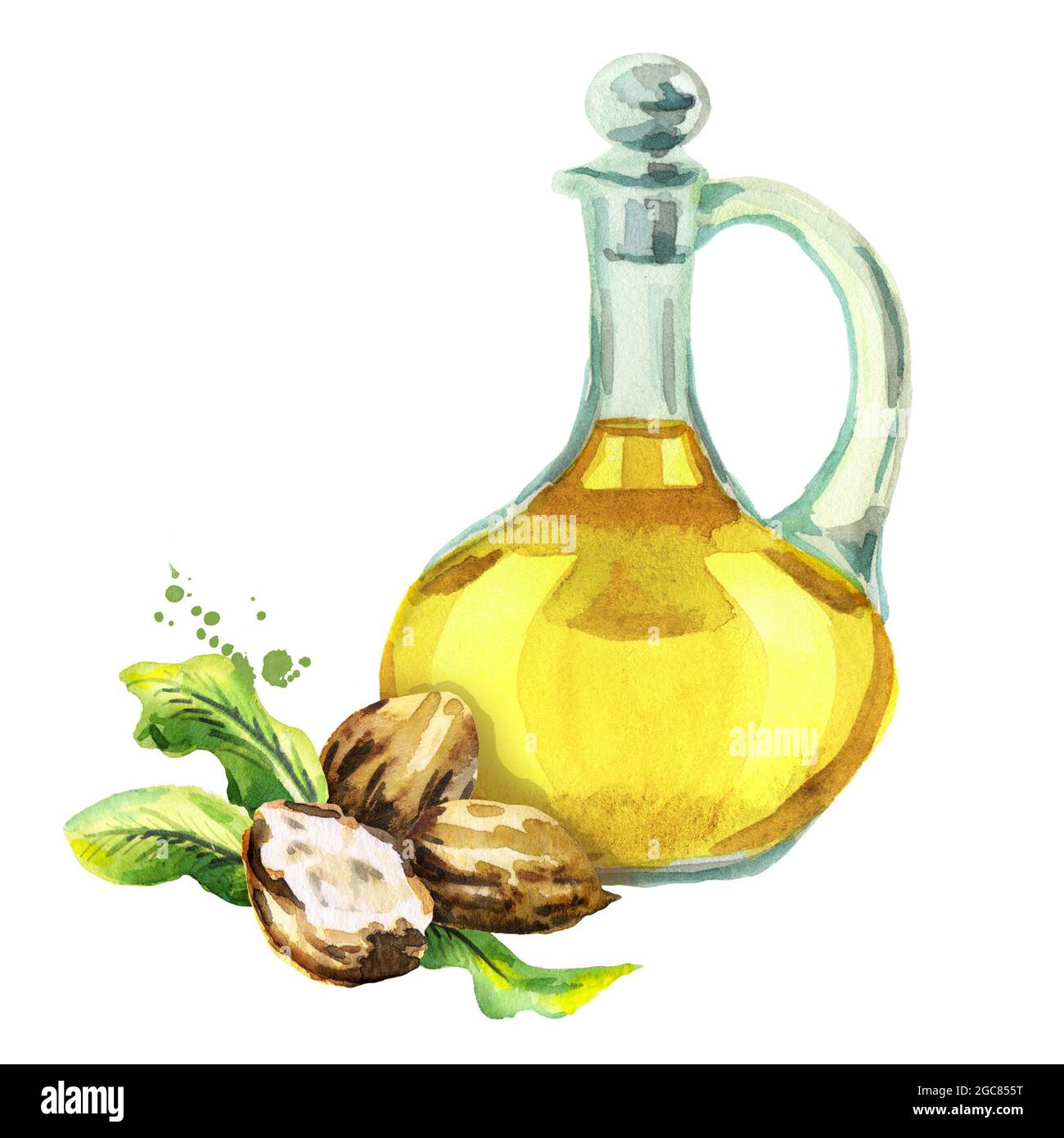 Shea oil. Watercolor hand-drawn illustration Stock Photo - Alamy