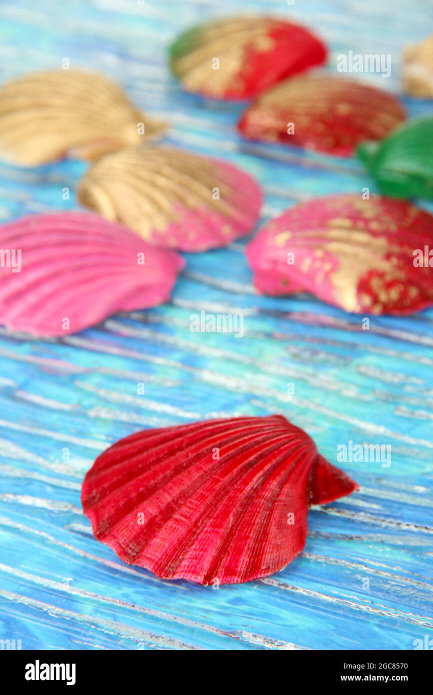 Colorful seashell on bright background Stock Photo - Alamy