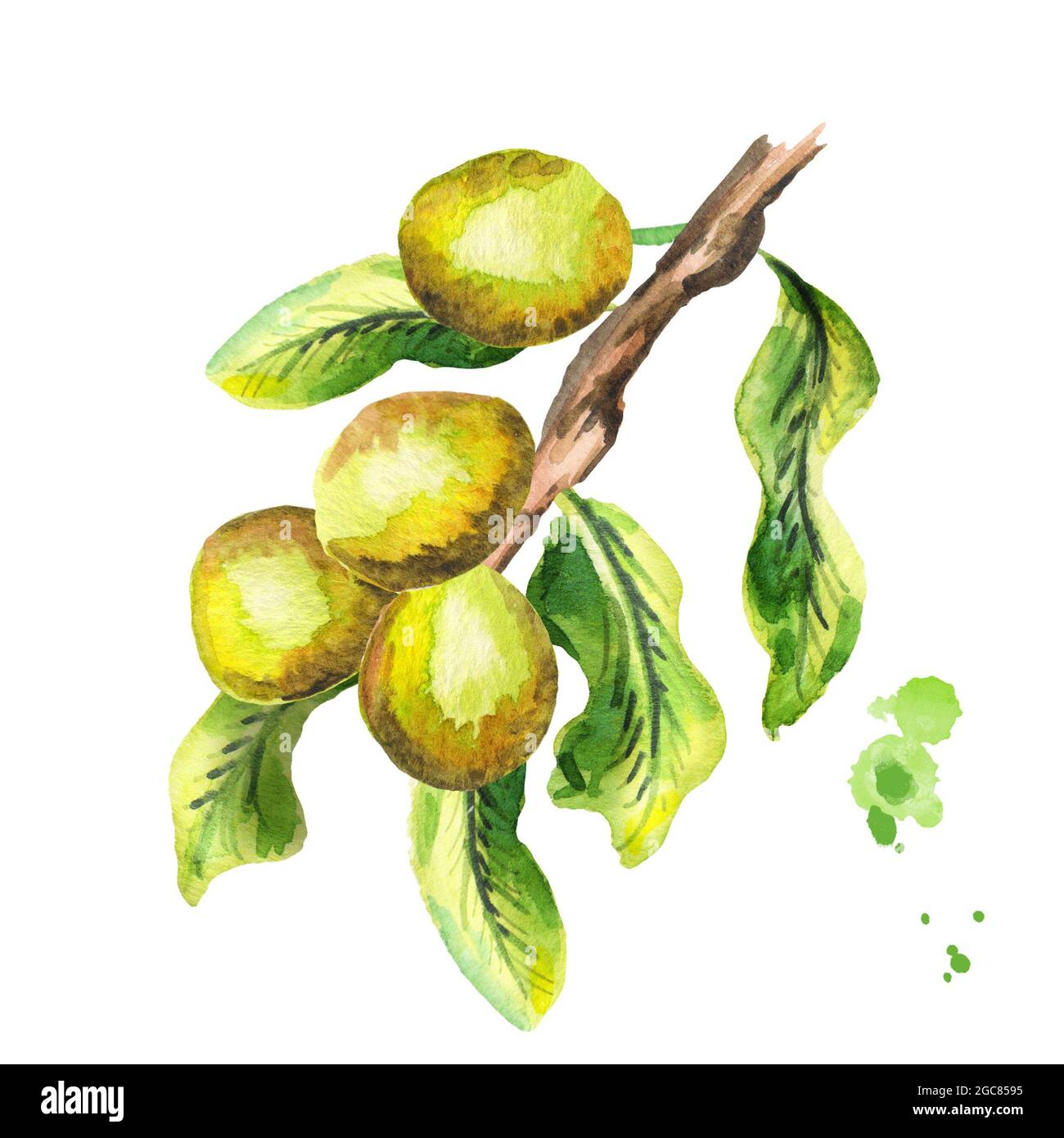 Plunt hi-res stock photography and images - Alamy