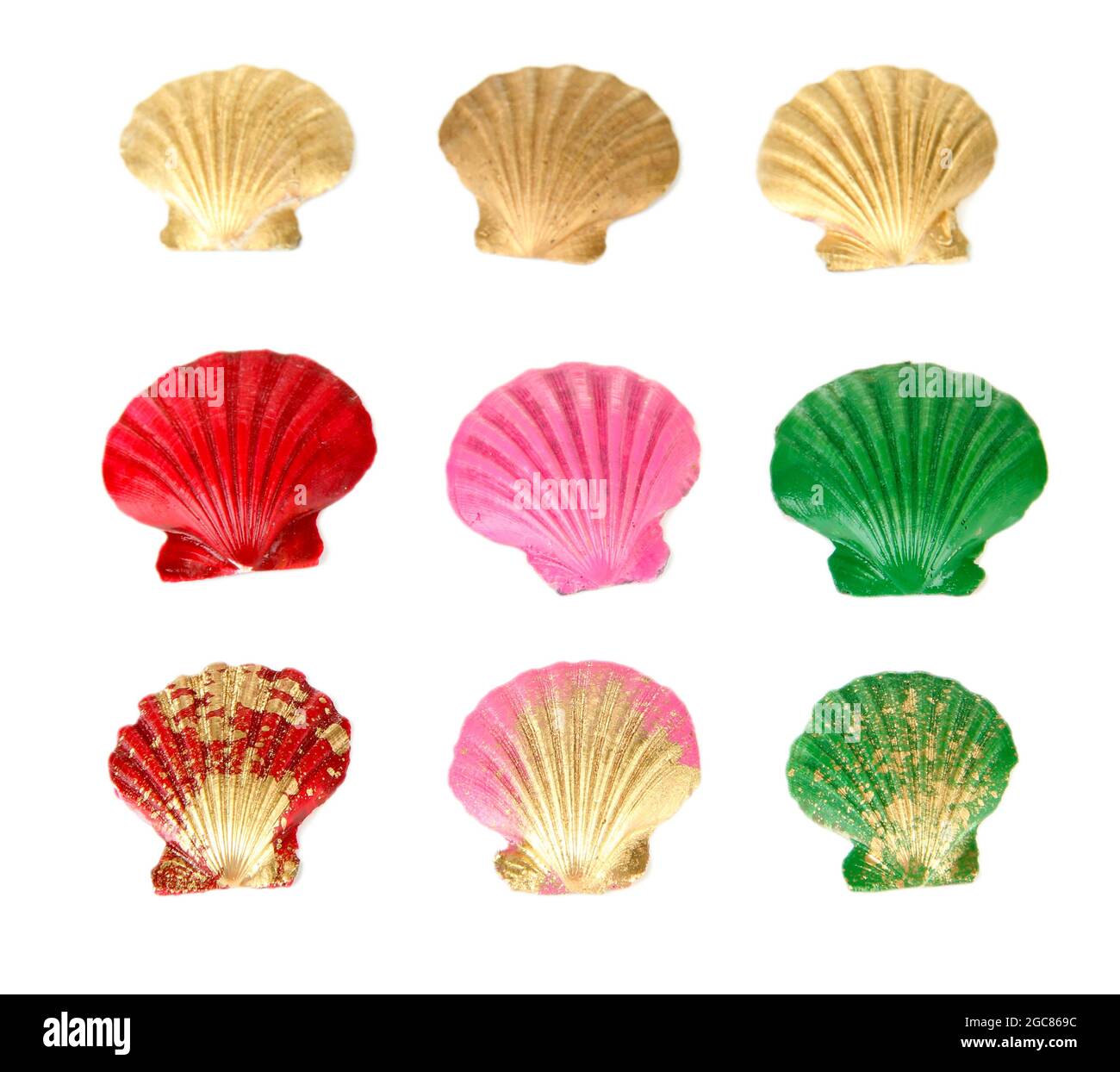 Colorful seashells, isolated on white Stock Photo - Alamy