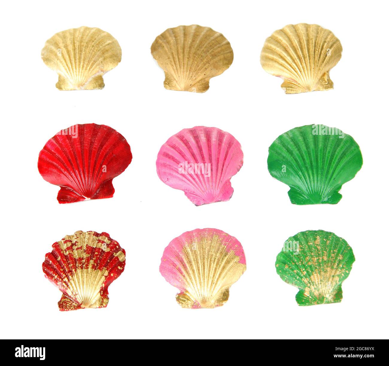 Colorful seashells, isolated on white Stock Photo - Alamy