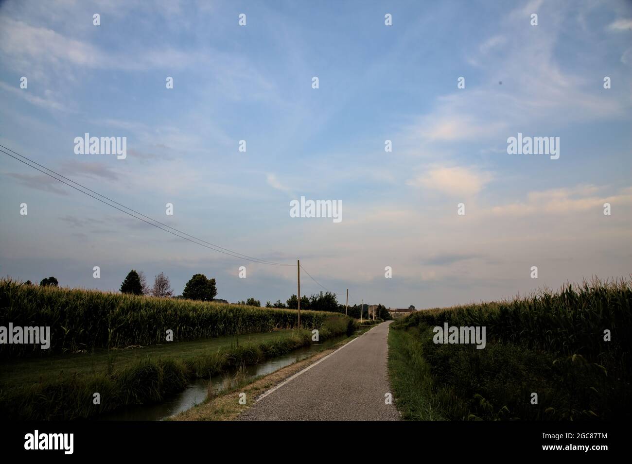 Narrow country road next to fields in the italian countryside at sunst ...