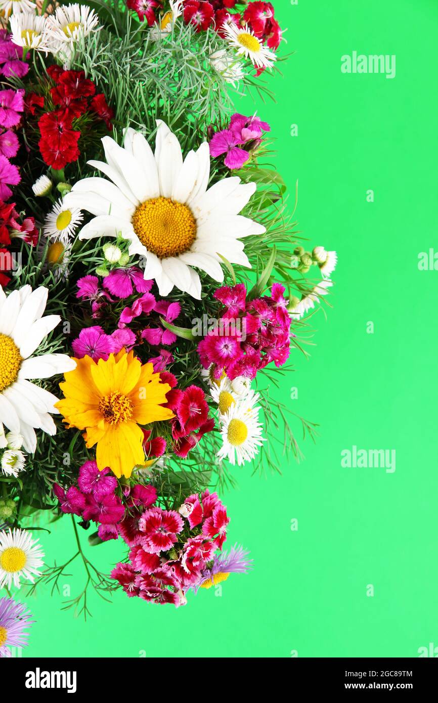 Beautiful bright flowers on green background Stock Photo - Alamy