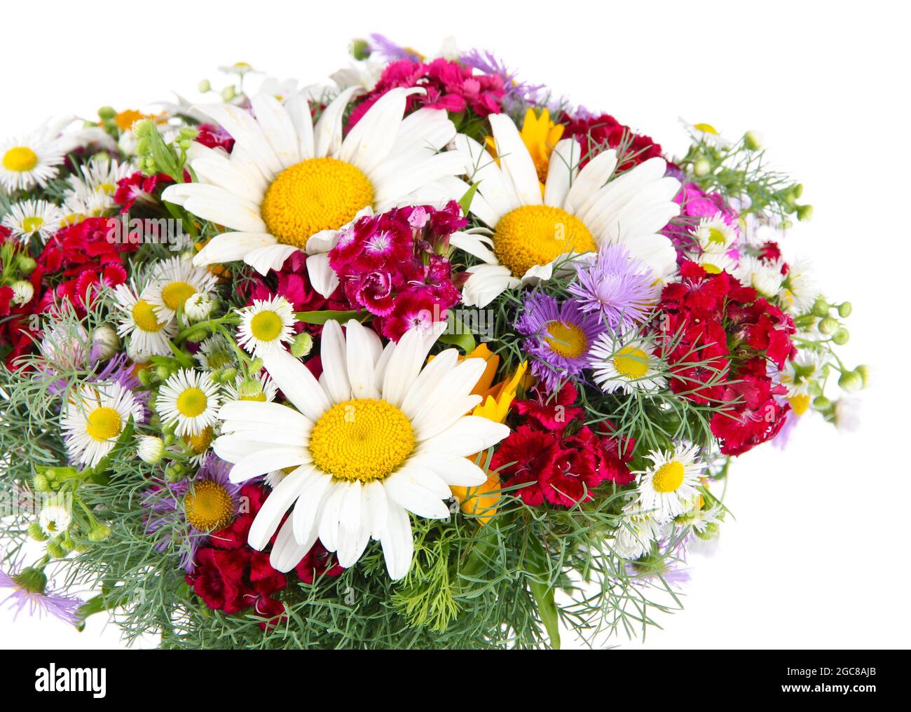 Beautiful bright flowers isolated on white Stock Photo - Alamy