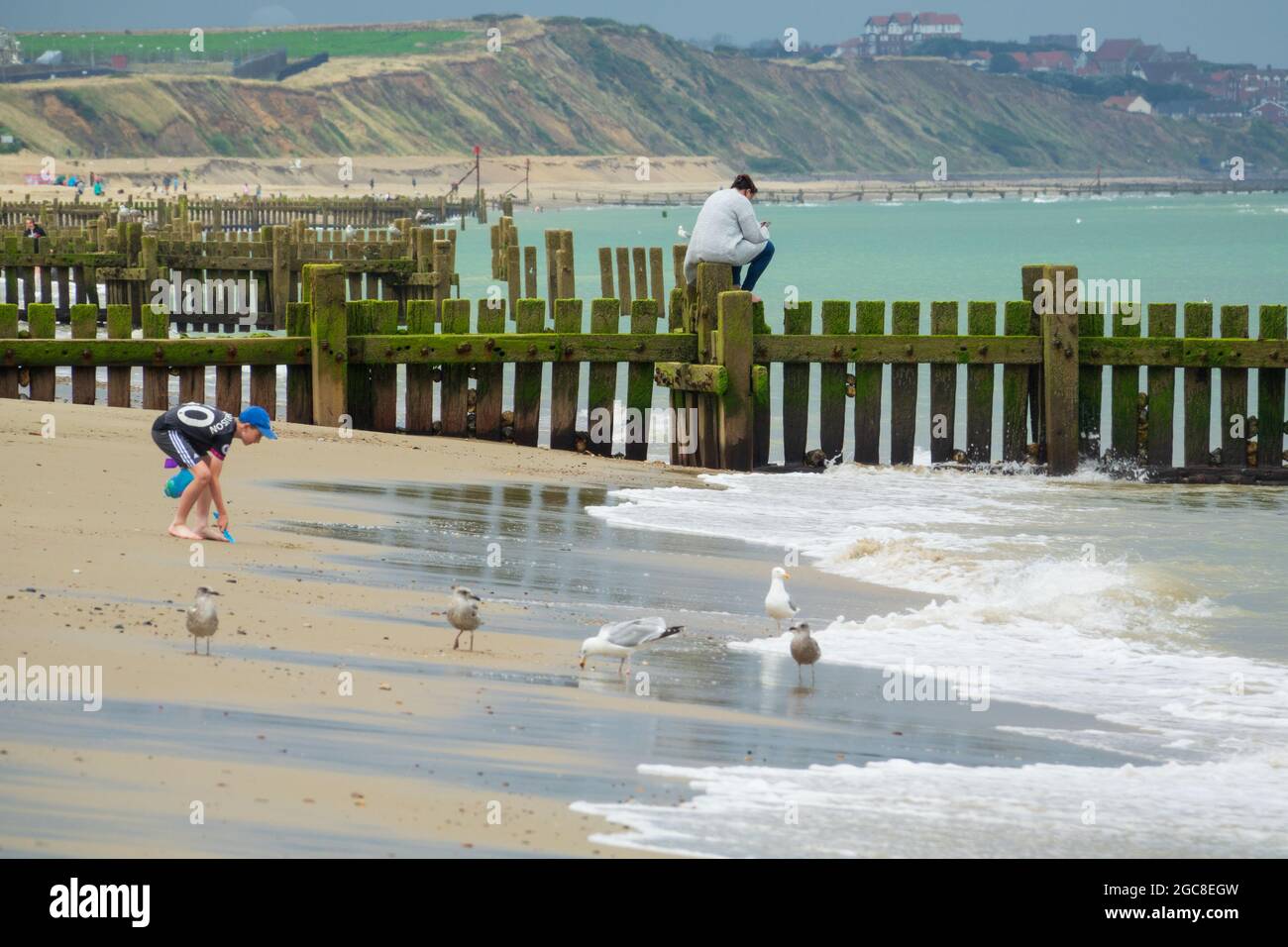 Walcott Beach High Resolution Stock Photography and Images - Alamy