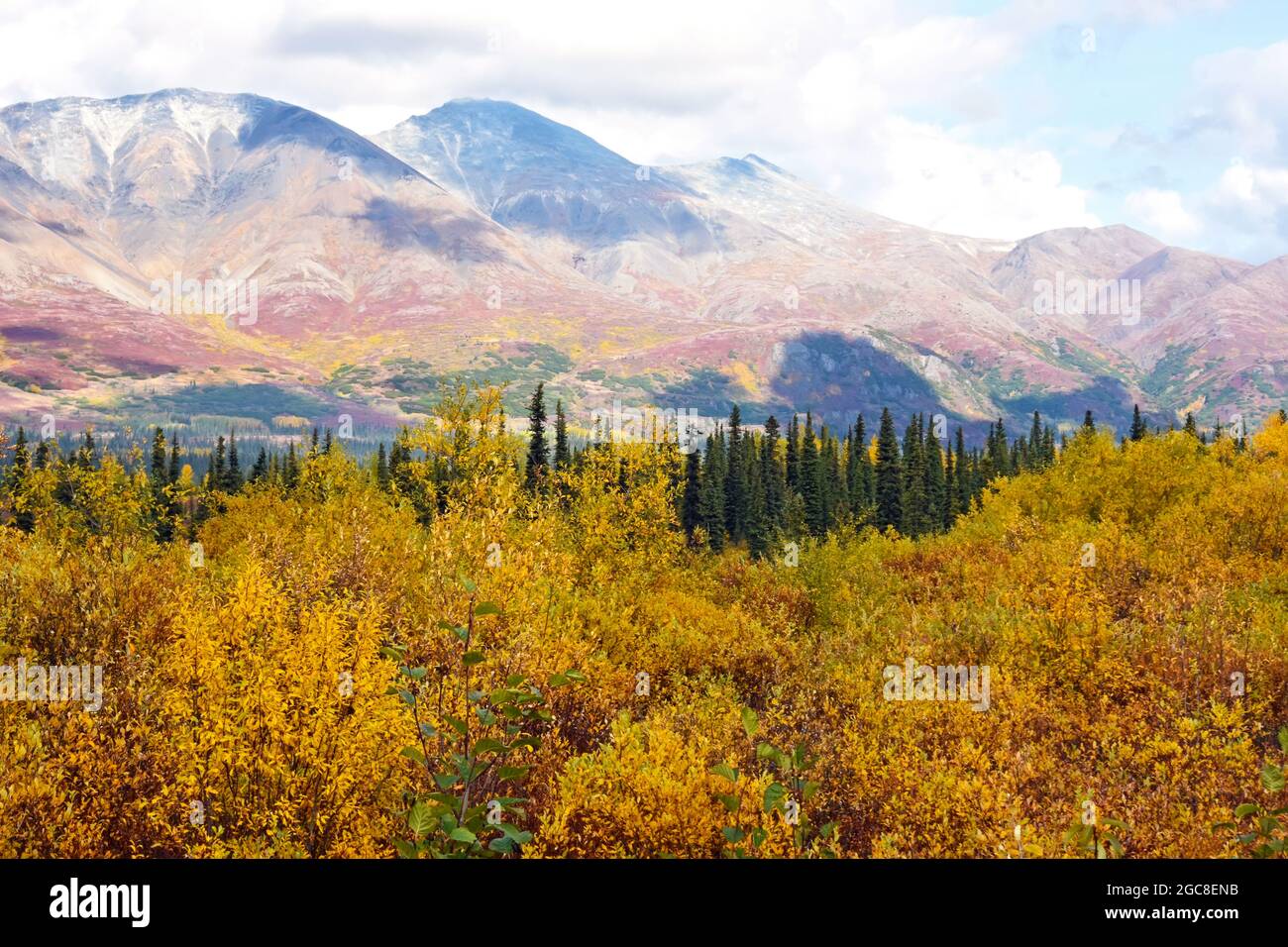 Alaskan fall colors, USA Stock Photo - Alamy