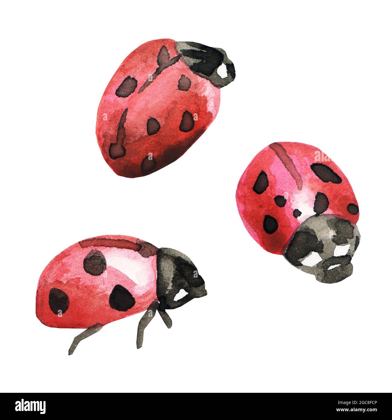 ladybugs set. Watercolor collection Stock Photo - Alamy