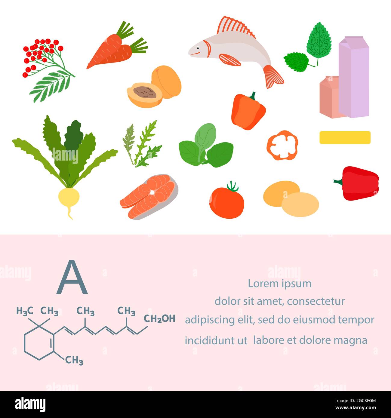 Vector illustration Vitamin A sources. Healthy food containing carotene ...