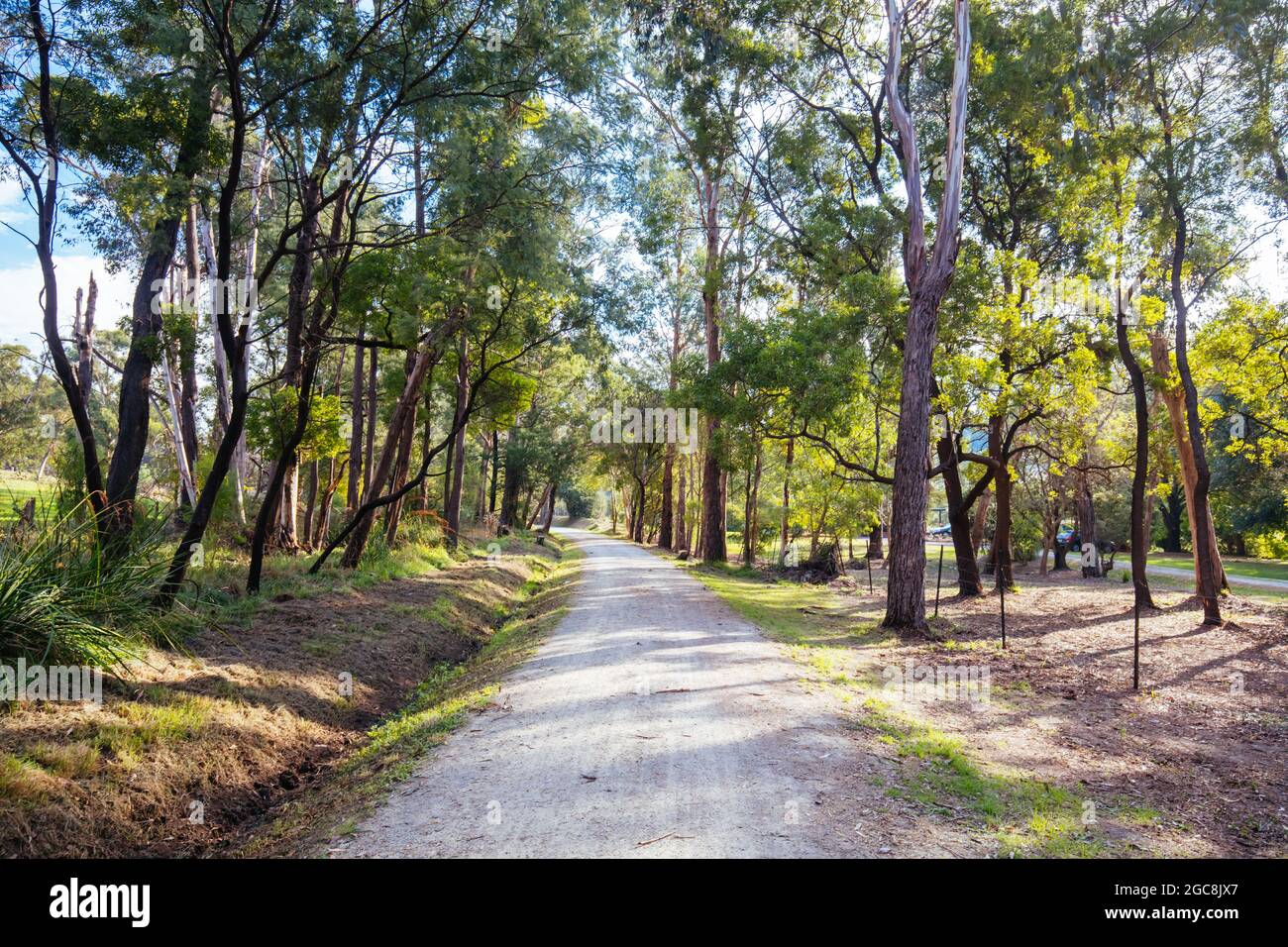The popular Lilydale to Warburton Rail Trail and rural landscape at ...