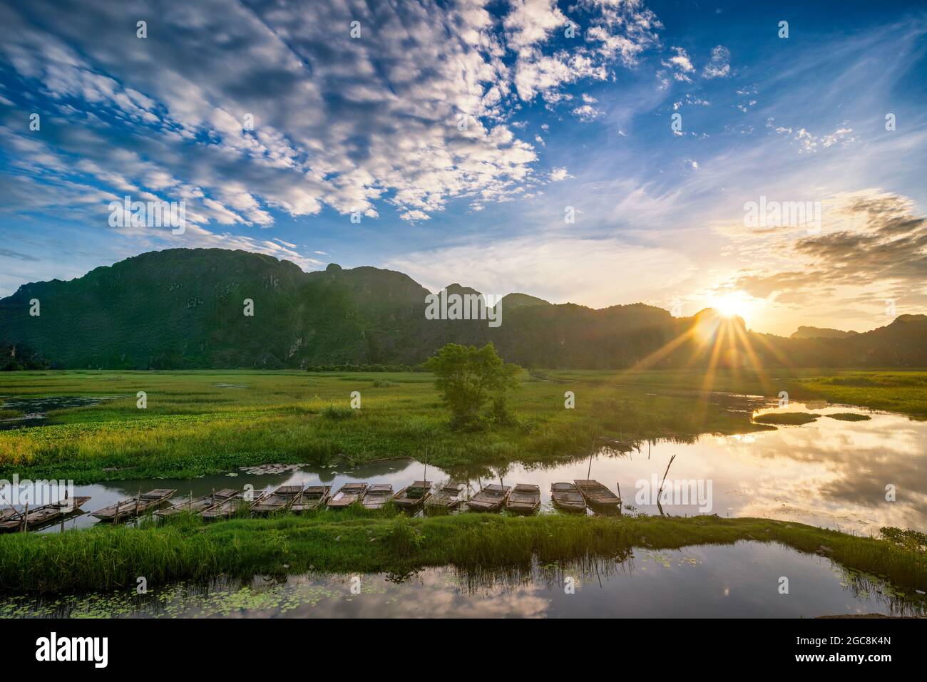Vietnam van long nature reserve hi-res stock photography and images - Alamy