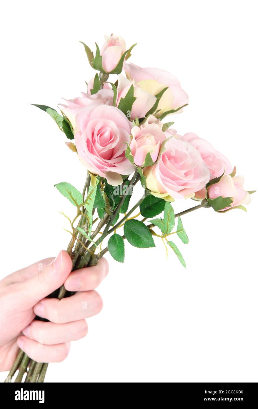Man's hand giving a roses isolated on white Stock Photo - Alamy