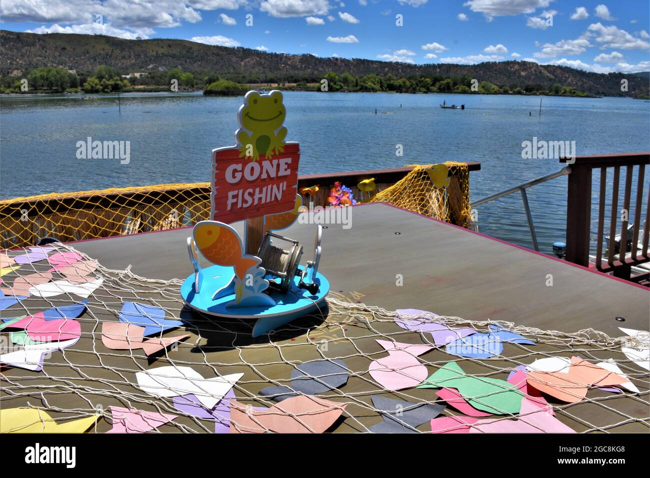 Decorations and tin plates and such for real surprise birthday party ...