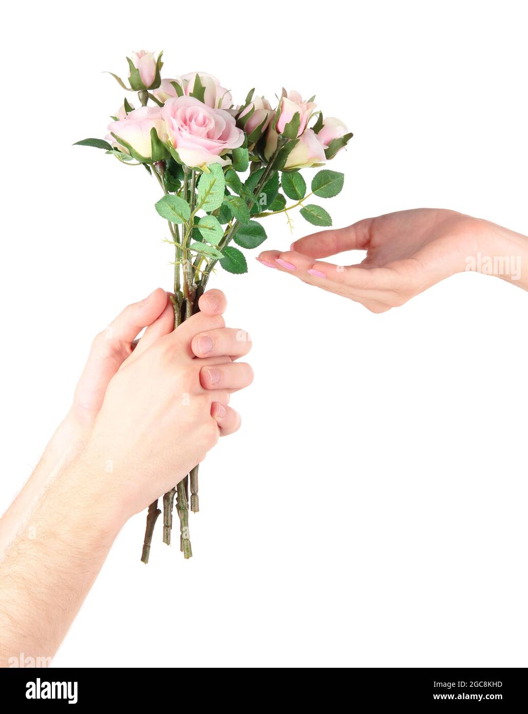 Man's hand giving a roses isolated on white Stock Photo - Alamy