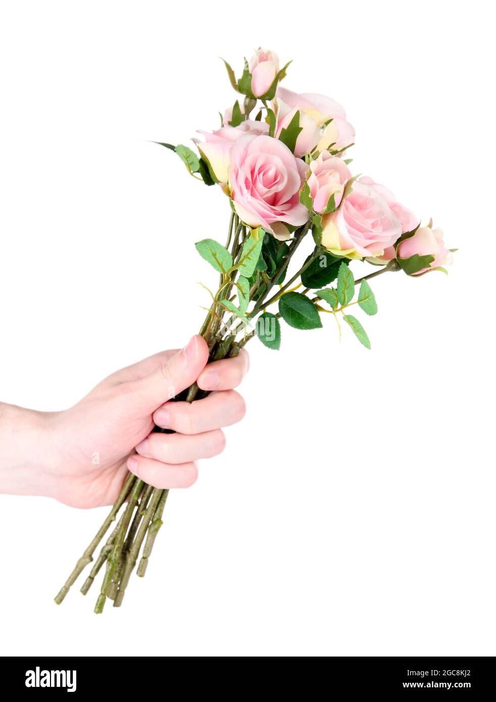 Man's hand giving a roses isolated on white Stock Photo - Alamy