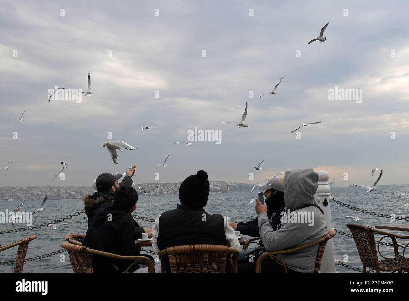Istanbul birds hi-res stock photography and images - Alamy