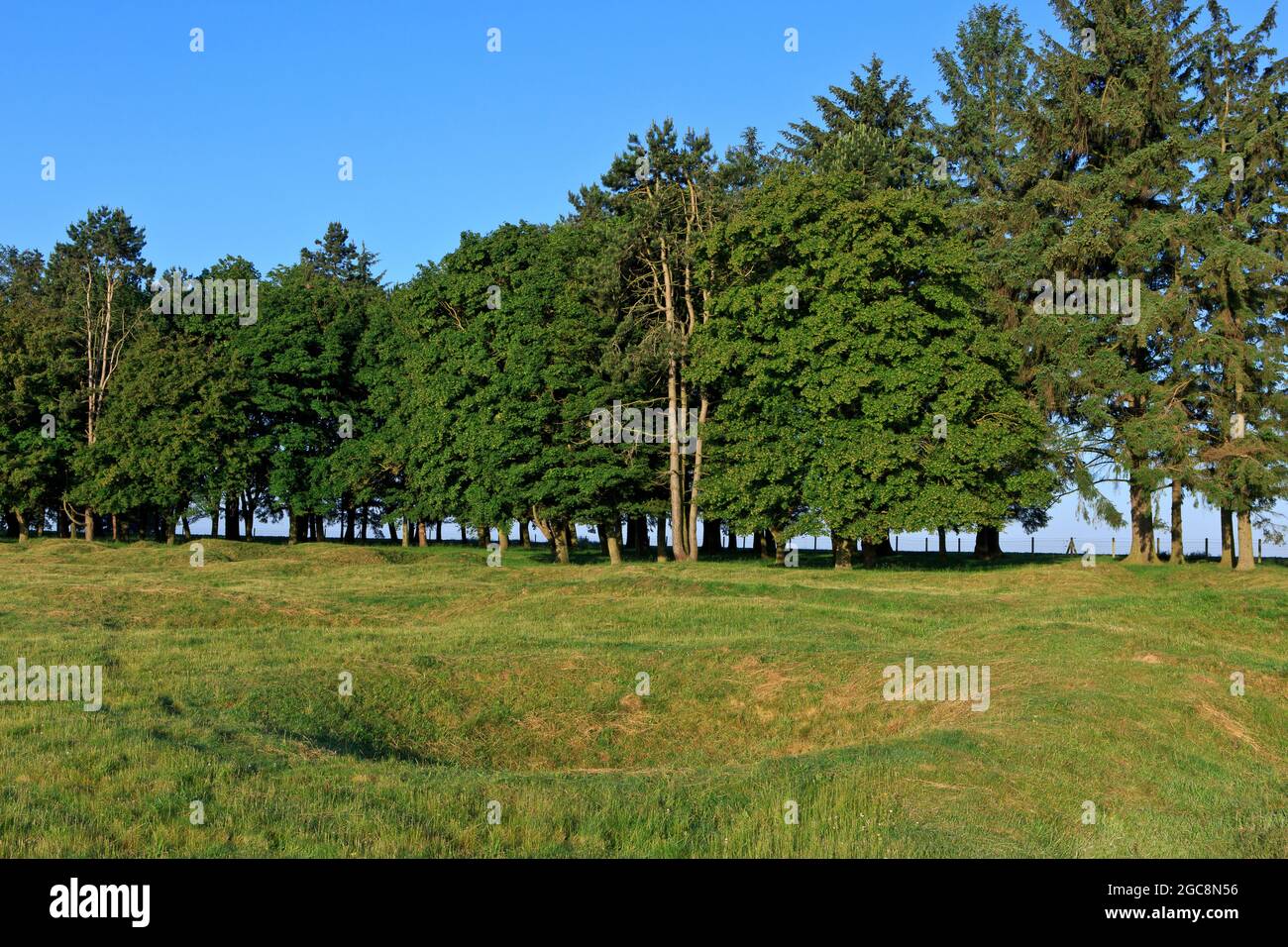 Newfoundland regiment world war i hi-res stock photography and images ...
