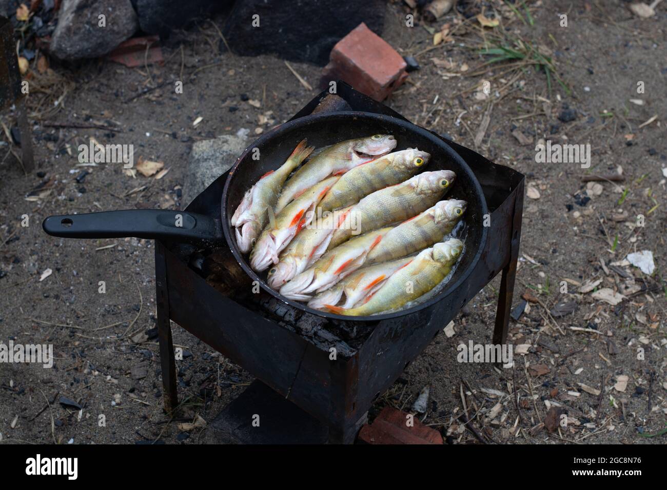Cooking in nature hi-res stock photography and images - Alamy