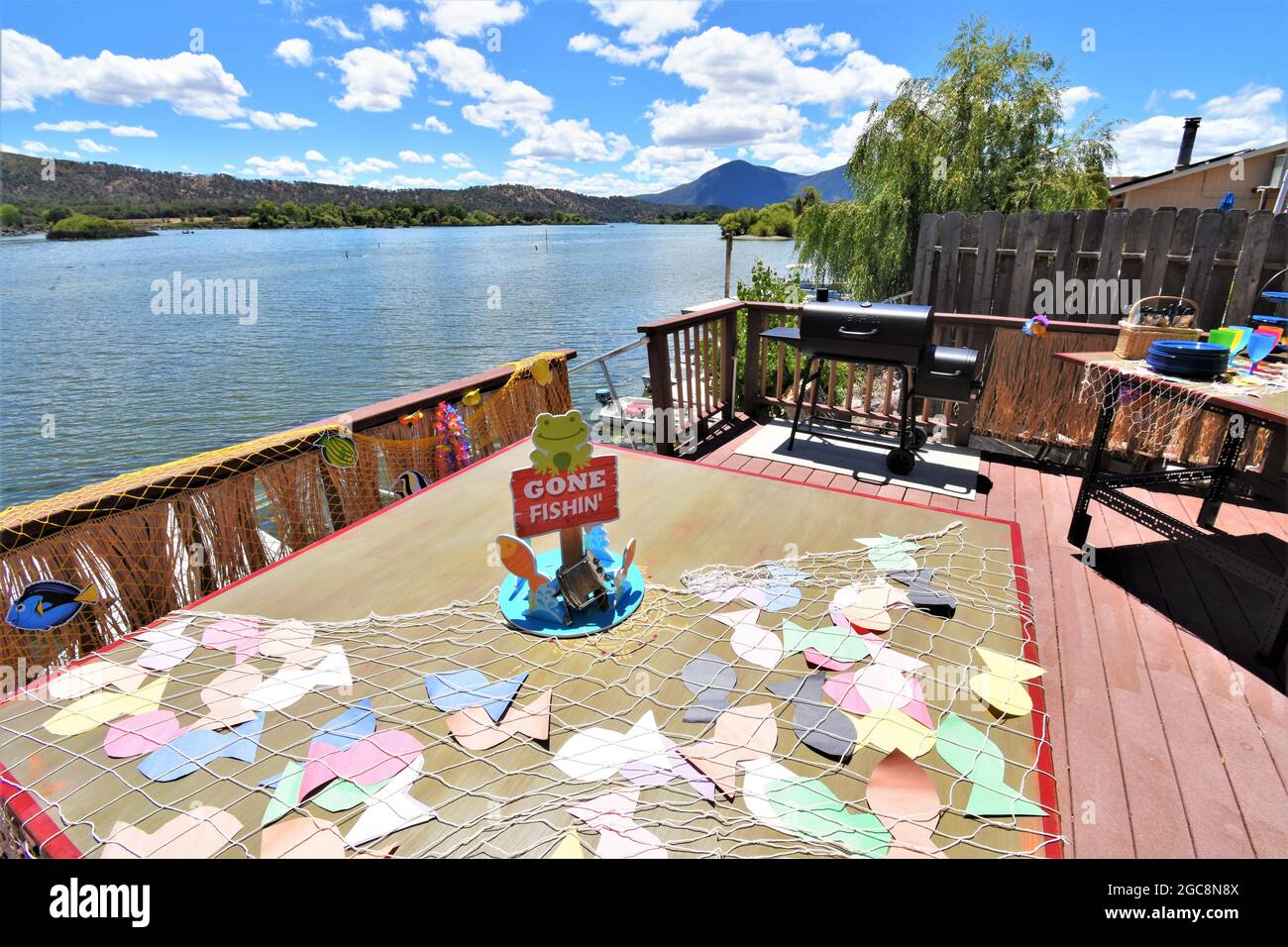 Decorations and tin plates and such for real surprise birthday party ...