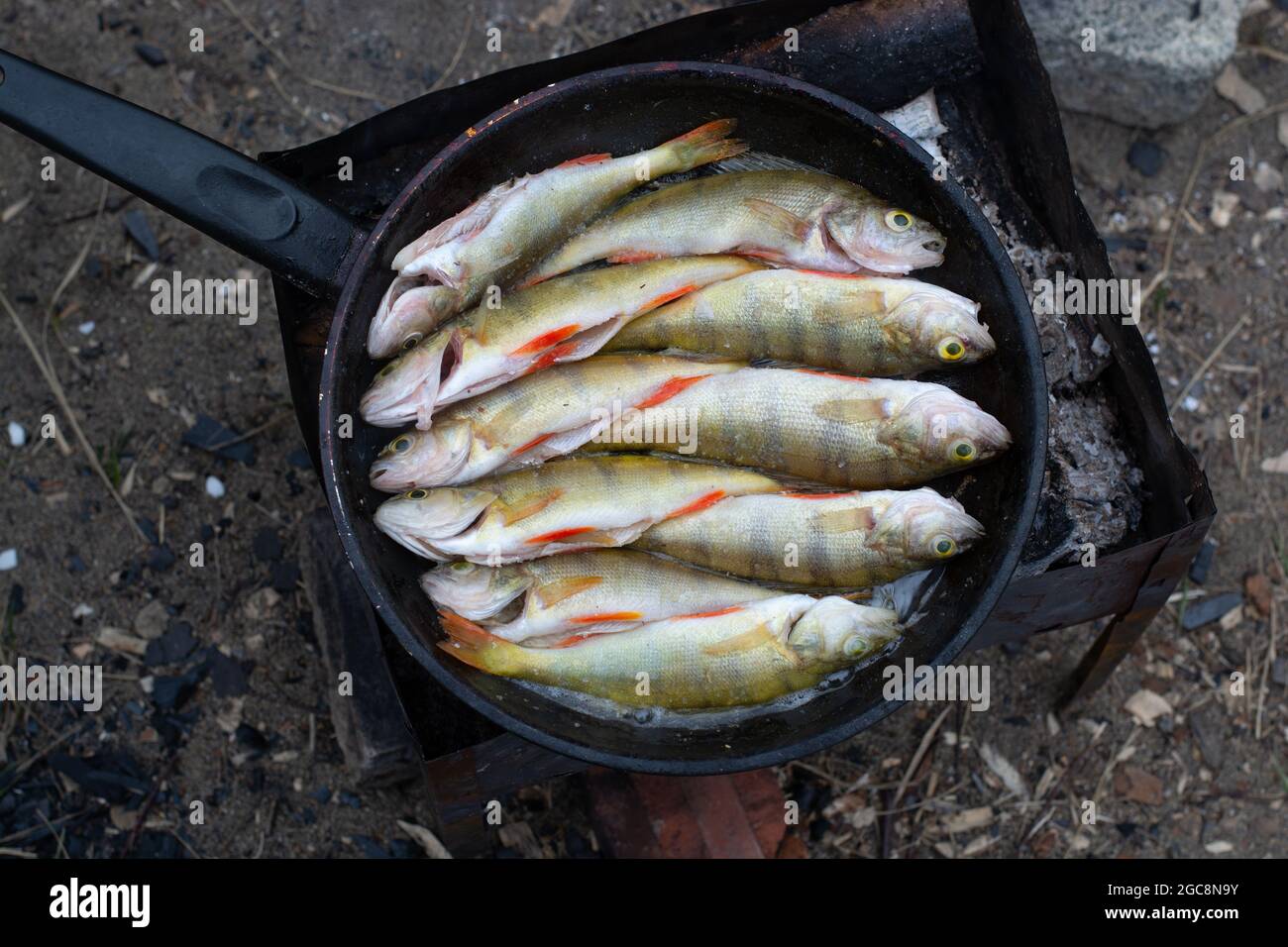 Cooking in nature hi-res stock photography and images - Alamy