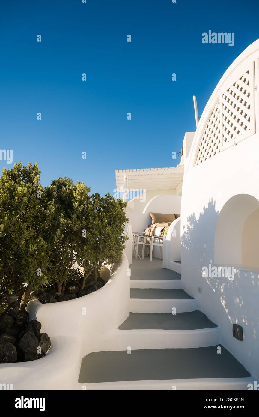 Traditional white greek architecture of Santorini island. Green olive ...