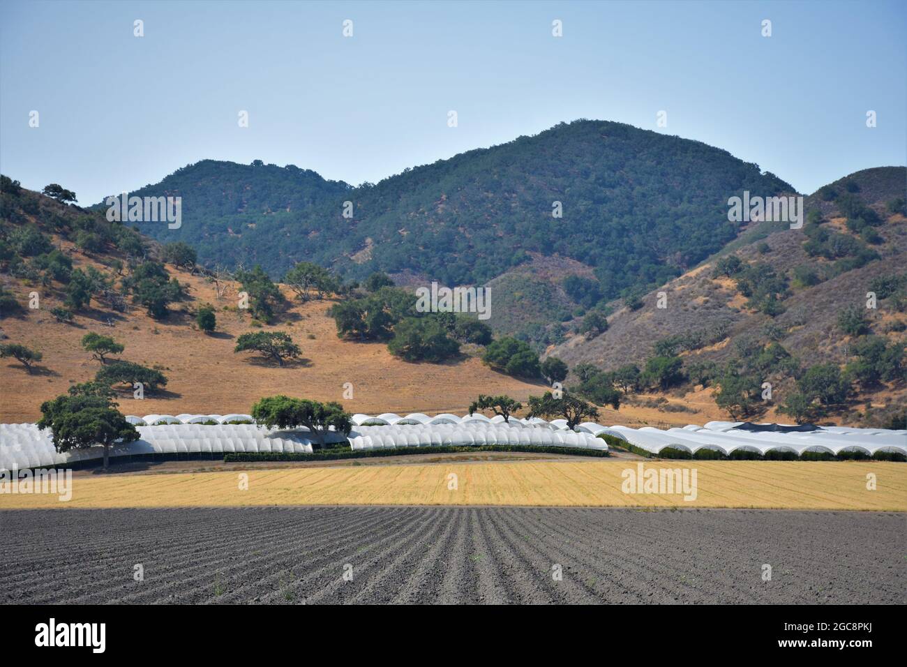California farming operation with 'standard' crops and hoop houses for ...