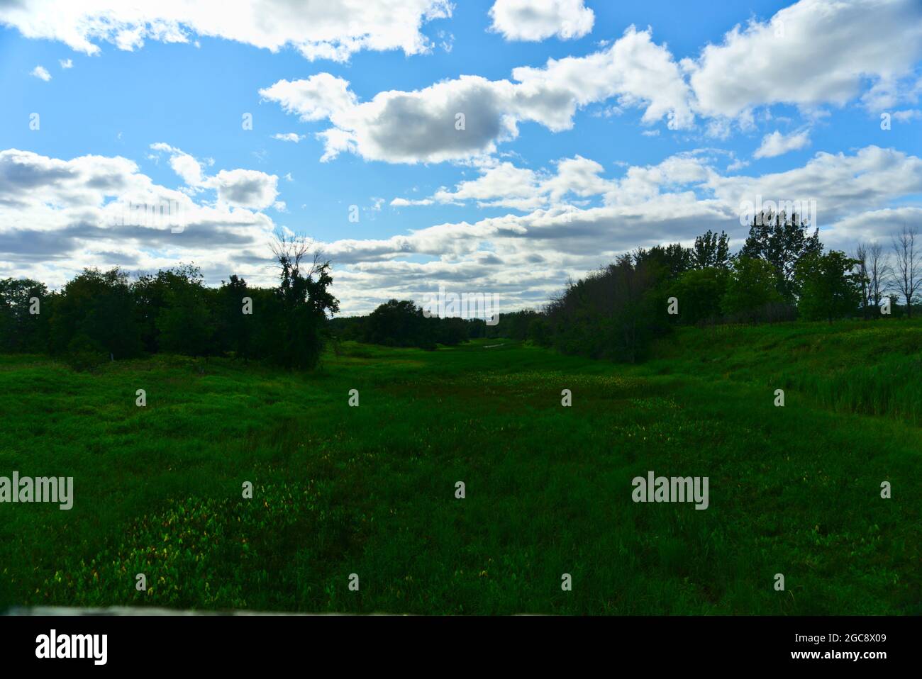 Green field in the woods of islands of Boucherville national park ...