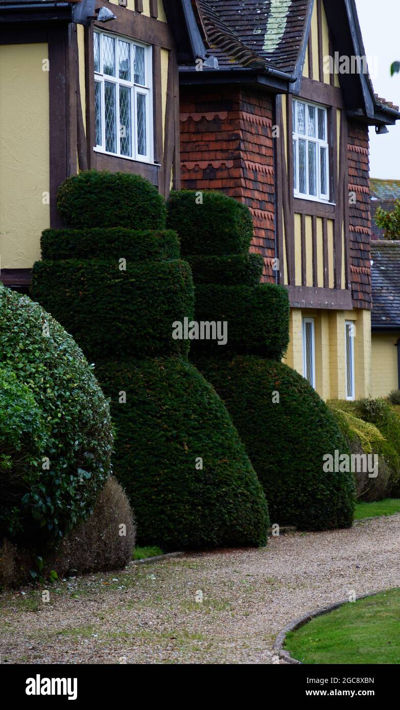 Yew topiary structures seen in the garden Stock Photo - Alamy