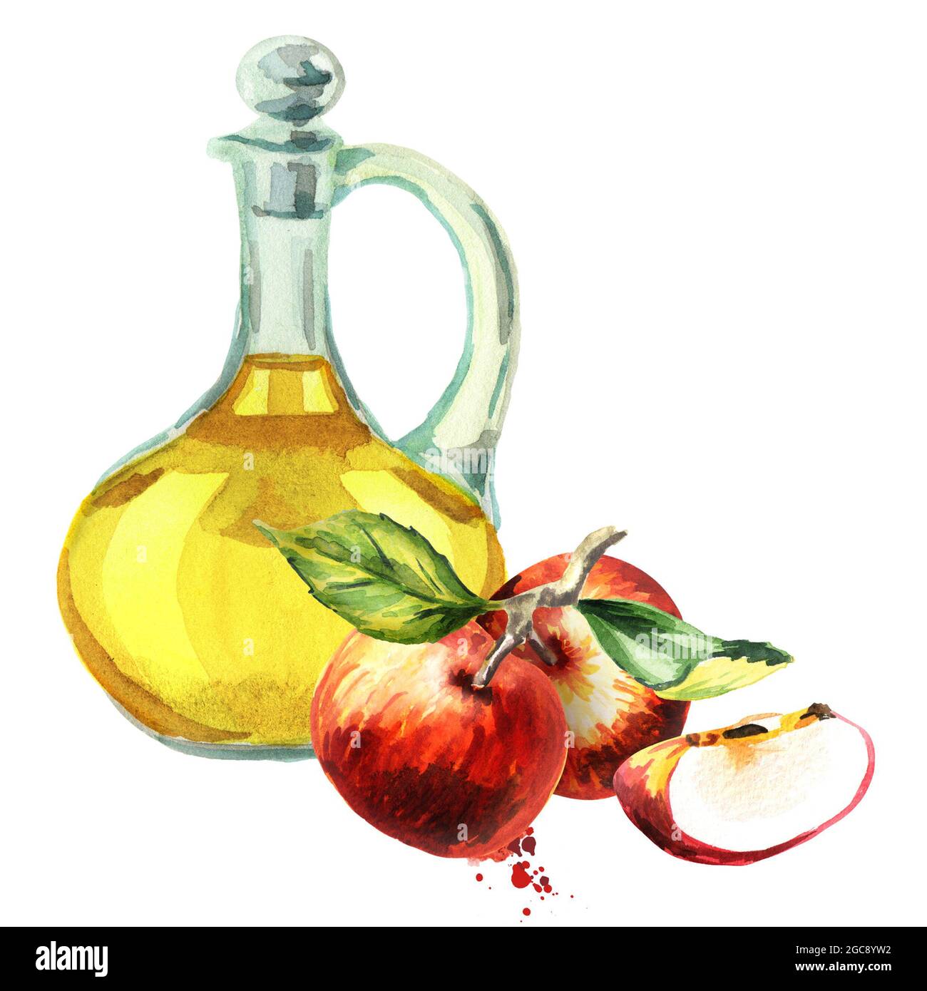 Apple cider vinegar. Watercolor Hand-drawn illustration Stock Photo - Alamy