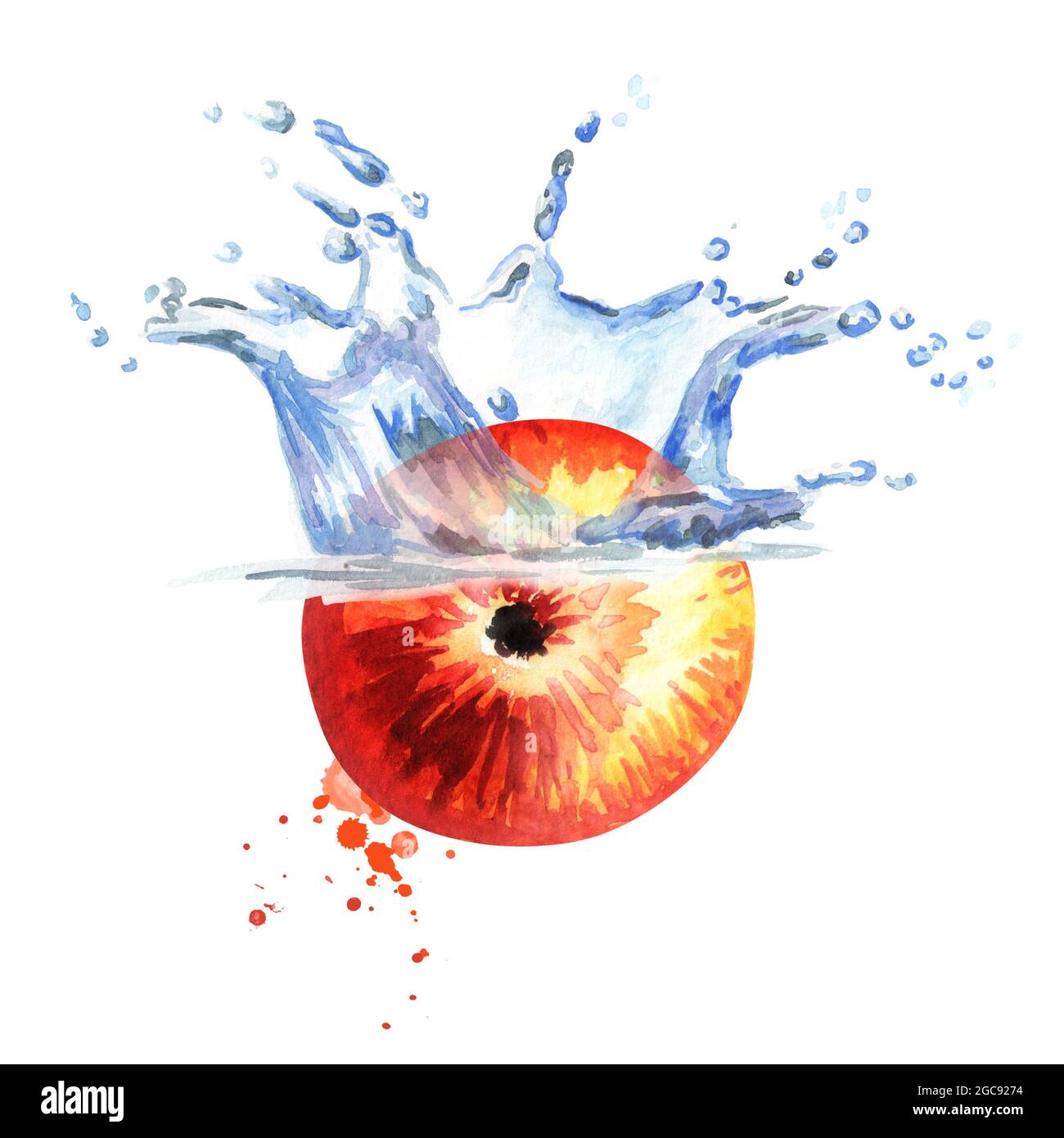 Fresh apple falling into water isolated on white background. Watercolor ...