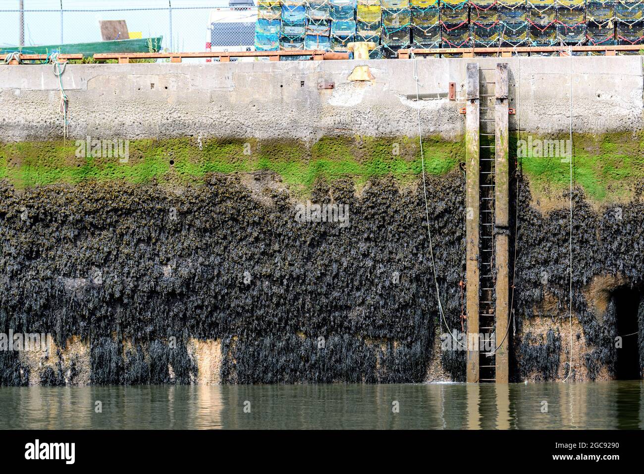 Ladder safety hi-res stock photography and images - Alamy