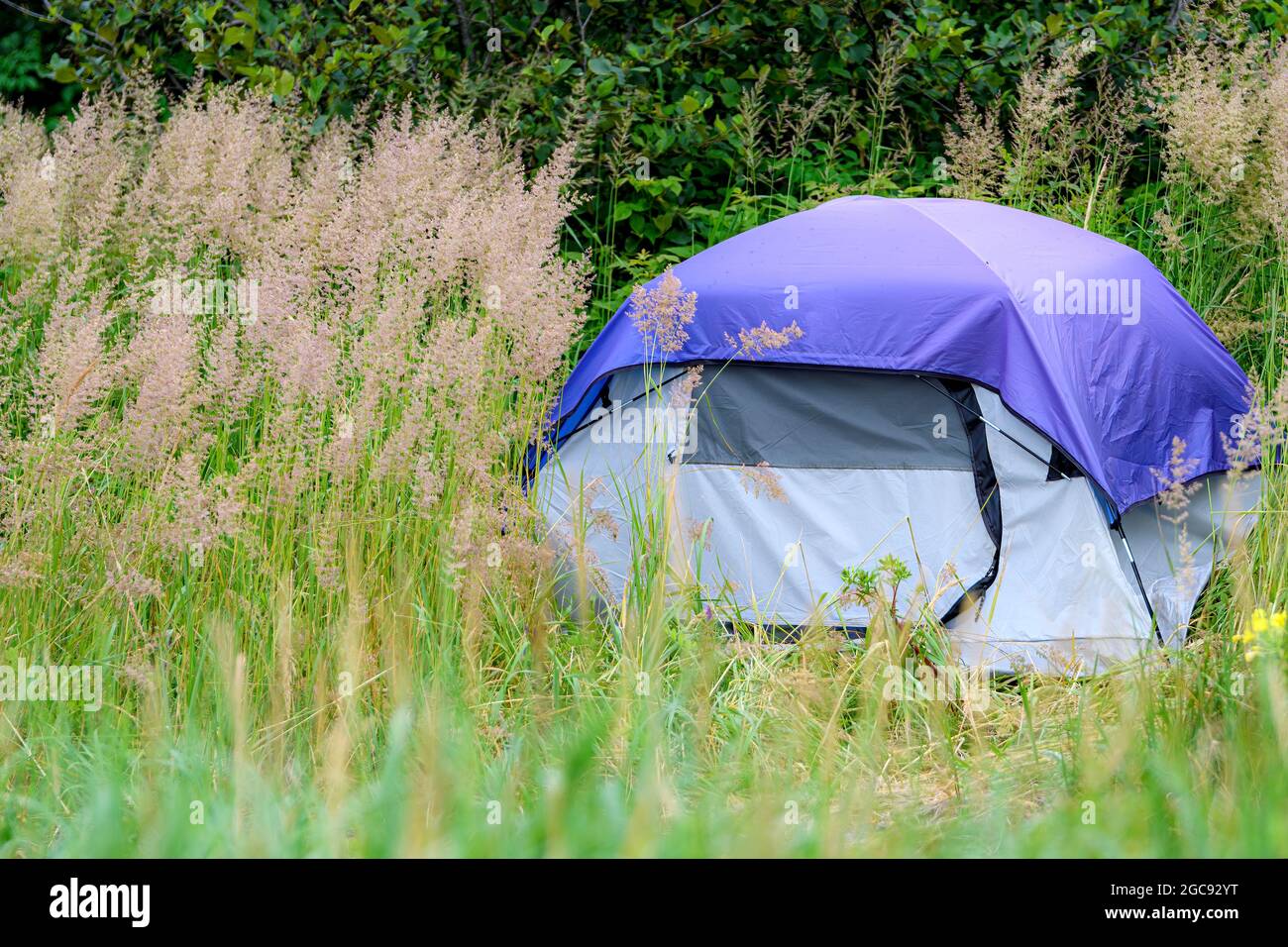 Shelter camp hi-res stock photography and images - Alamy
