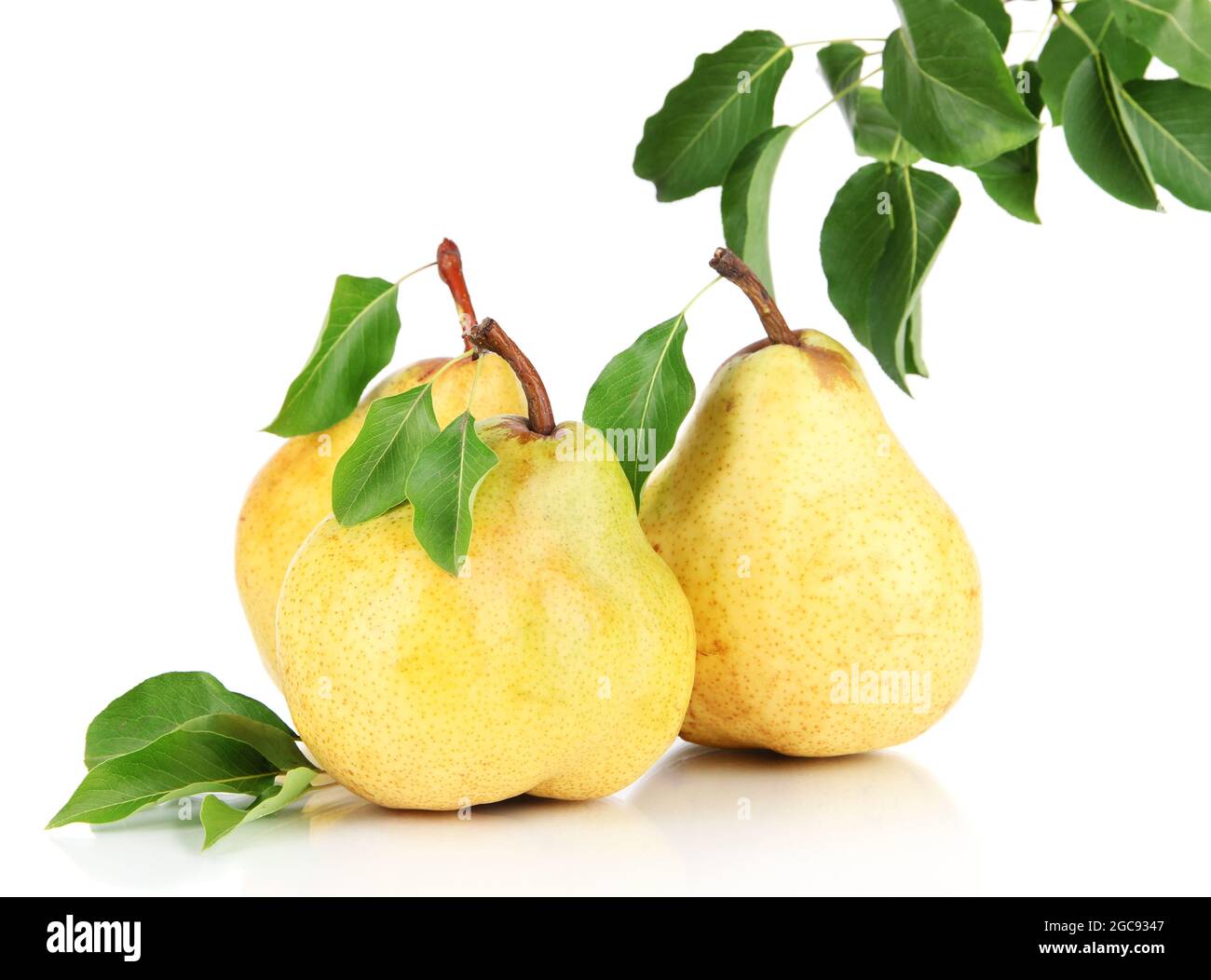 Juicy pears isolated on white Stock Photo - Alamy