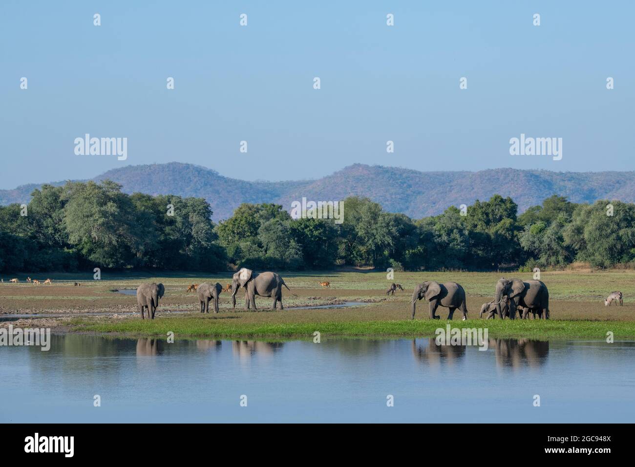 Blue lagoon national park, zambia hi-res stock photography and images ...